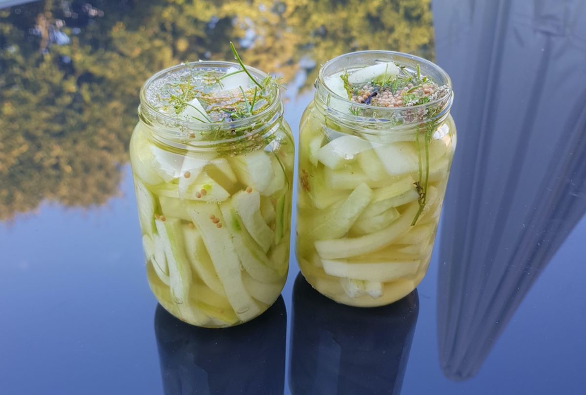 Pickles au vinaigre pommes-aneth - lechampdesvents.fr